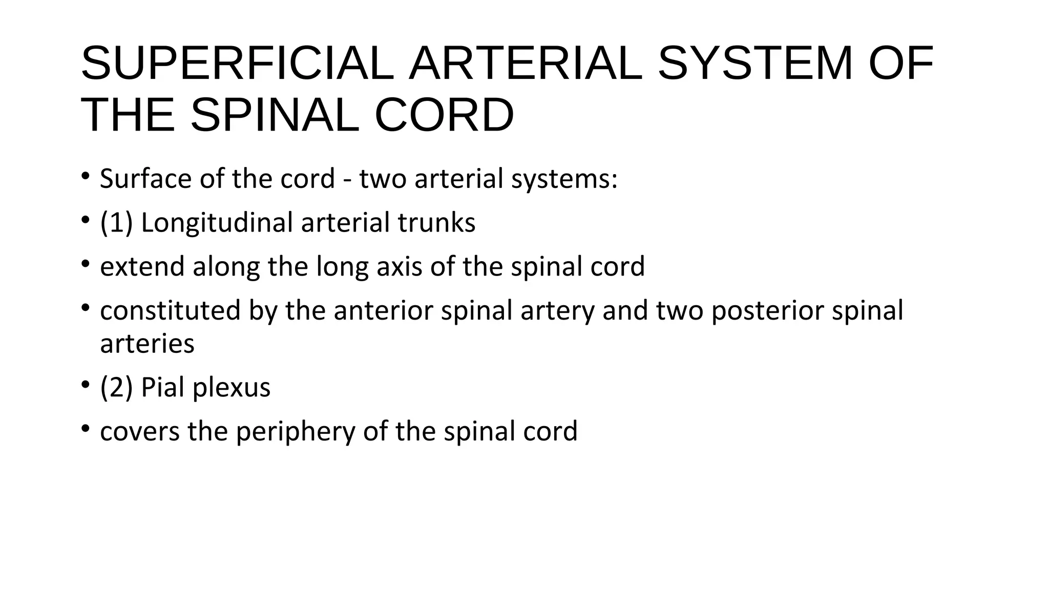 Vascular Anatomy of Spinal Cord | PPT