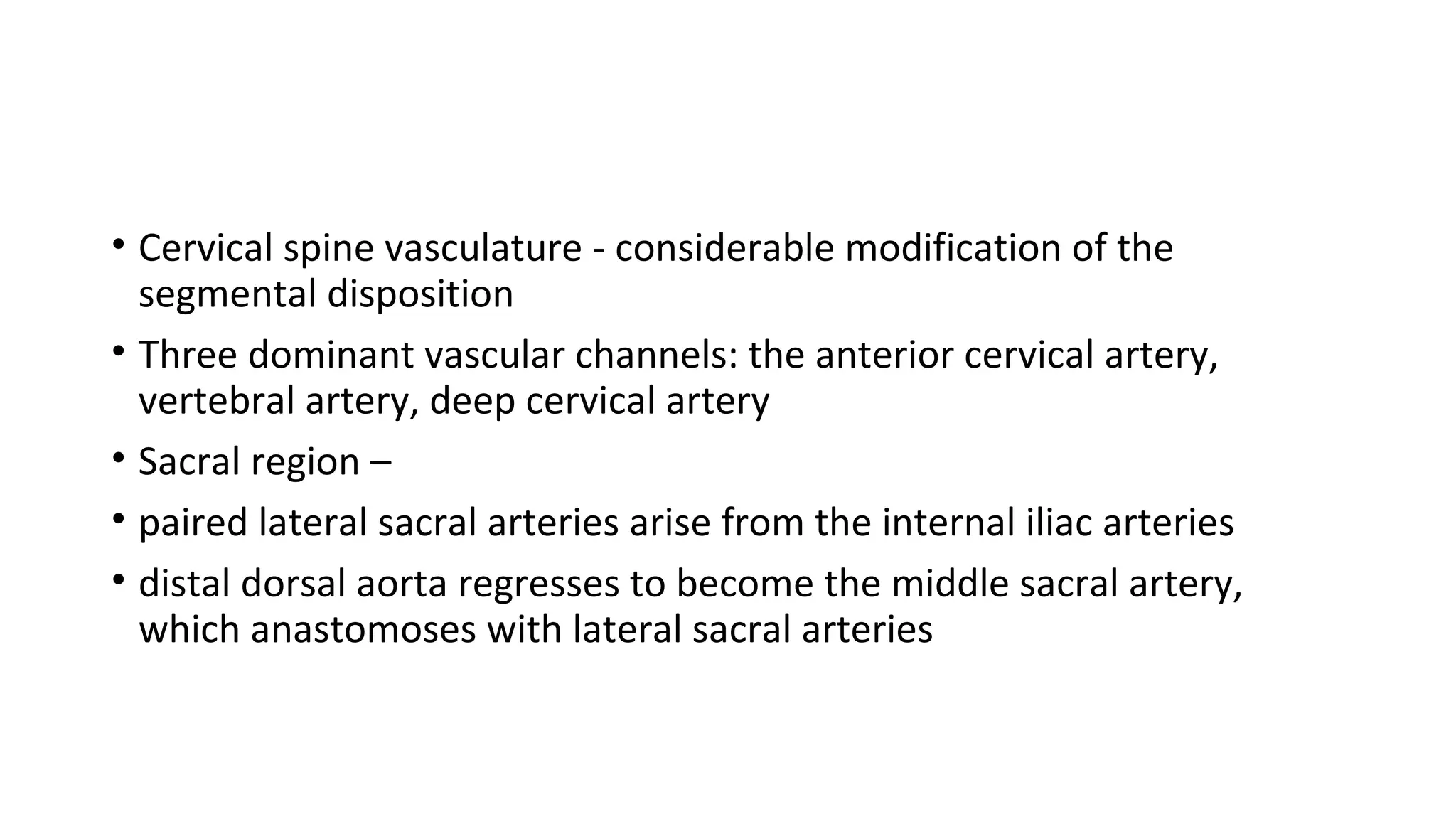 Vascular Anatomy of Spinal Cord | PPT
