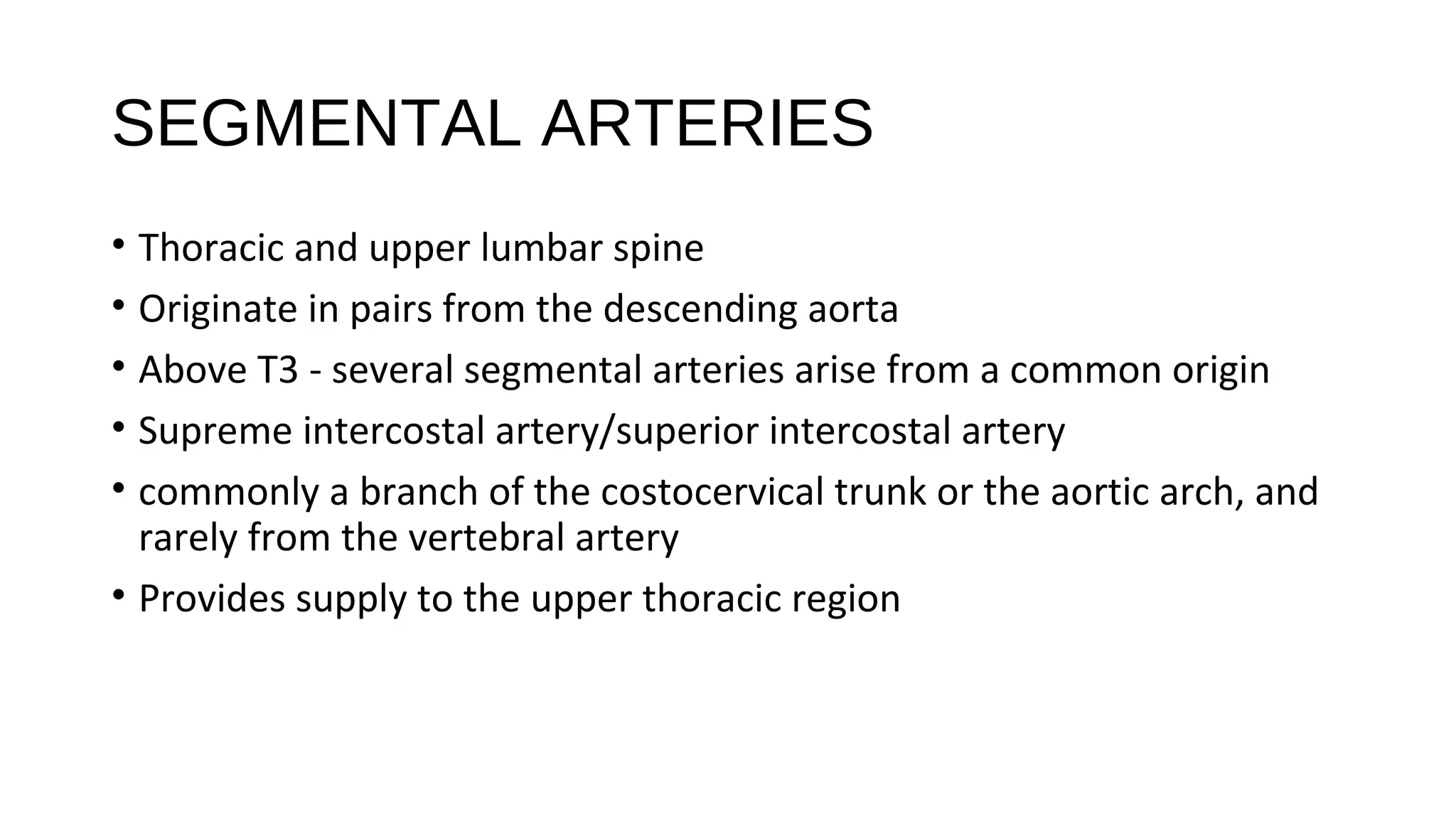 Vascular Anatomy of Spinal Cord | PPT