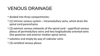 Vascular Anatomy of Spinal Cord | PPT