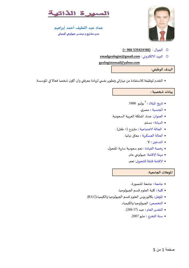 Emad cv-ar | PDF
