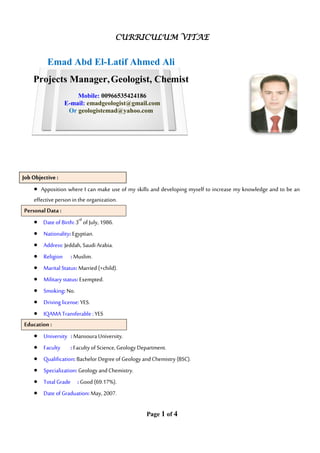 Emad cv en | PDF | Commodities | Economy