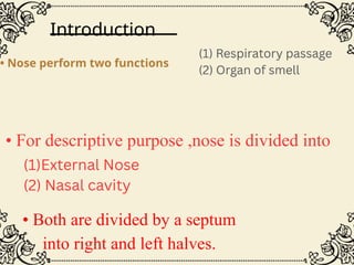Emailing Anatomy of Nose.ppt._20250203_100353_0000.pdf.pptx