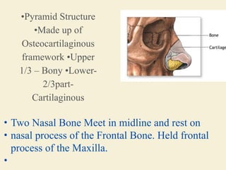 Emailing Anatomy of Nose.ppt._20250203_100353_0000.pdf.pptx