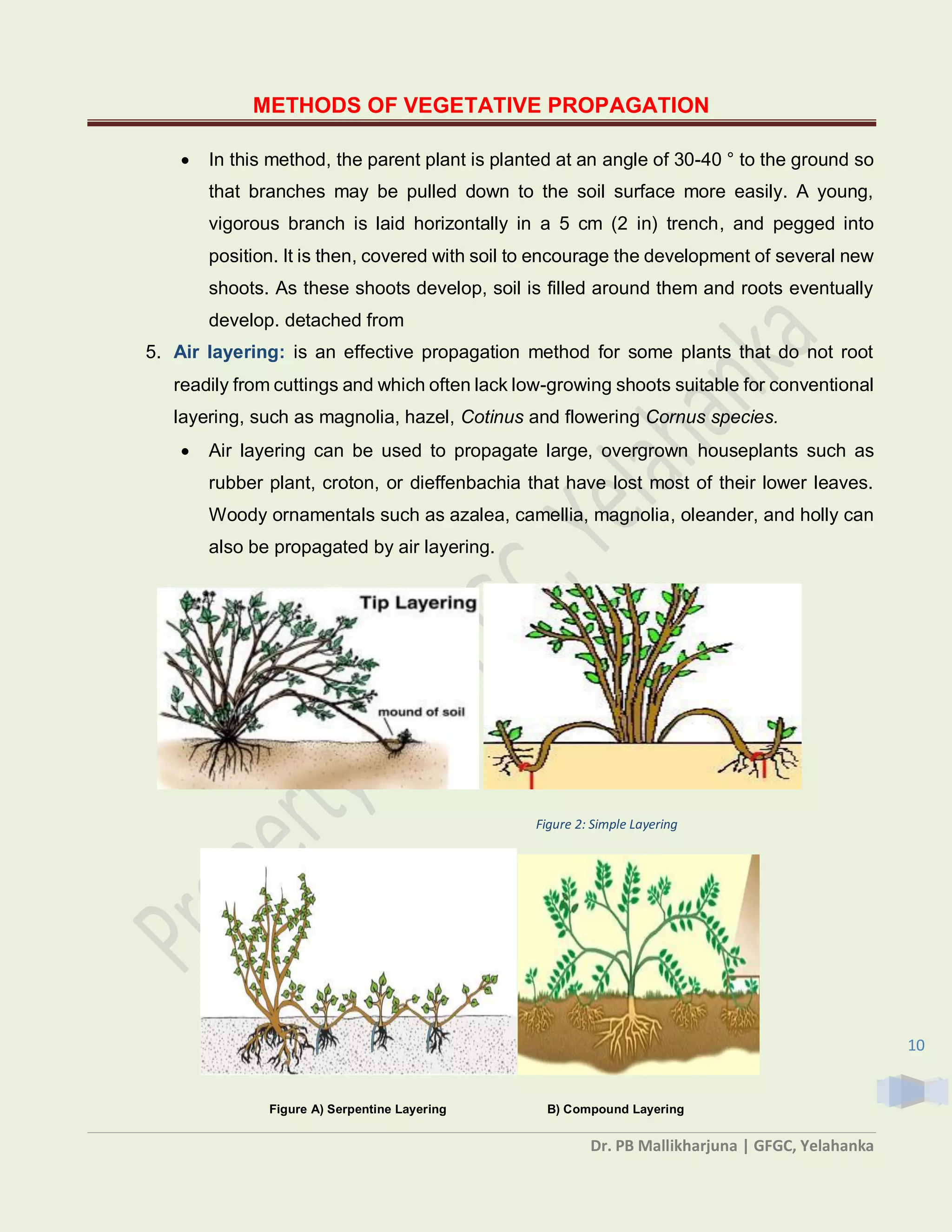 Methods of Vegetative Propagation | PDF