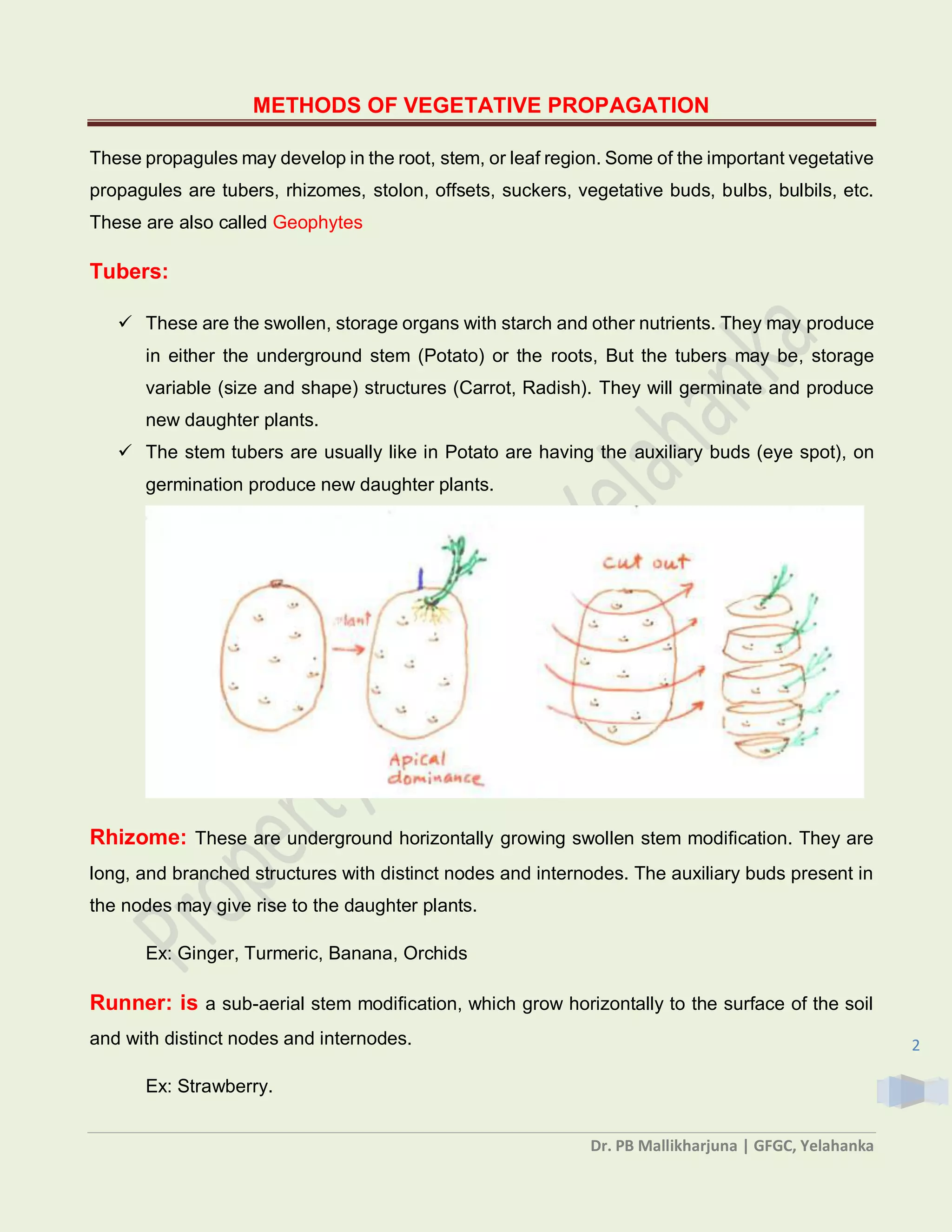 Methods of Vegetative Propagation | PDF