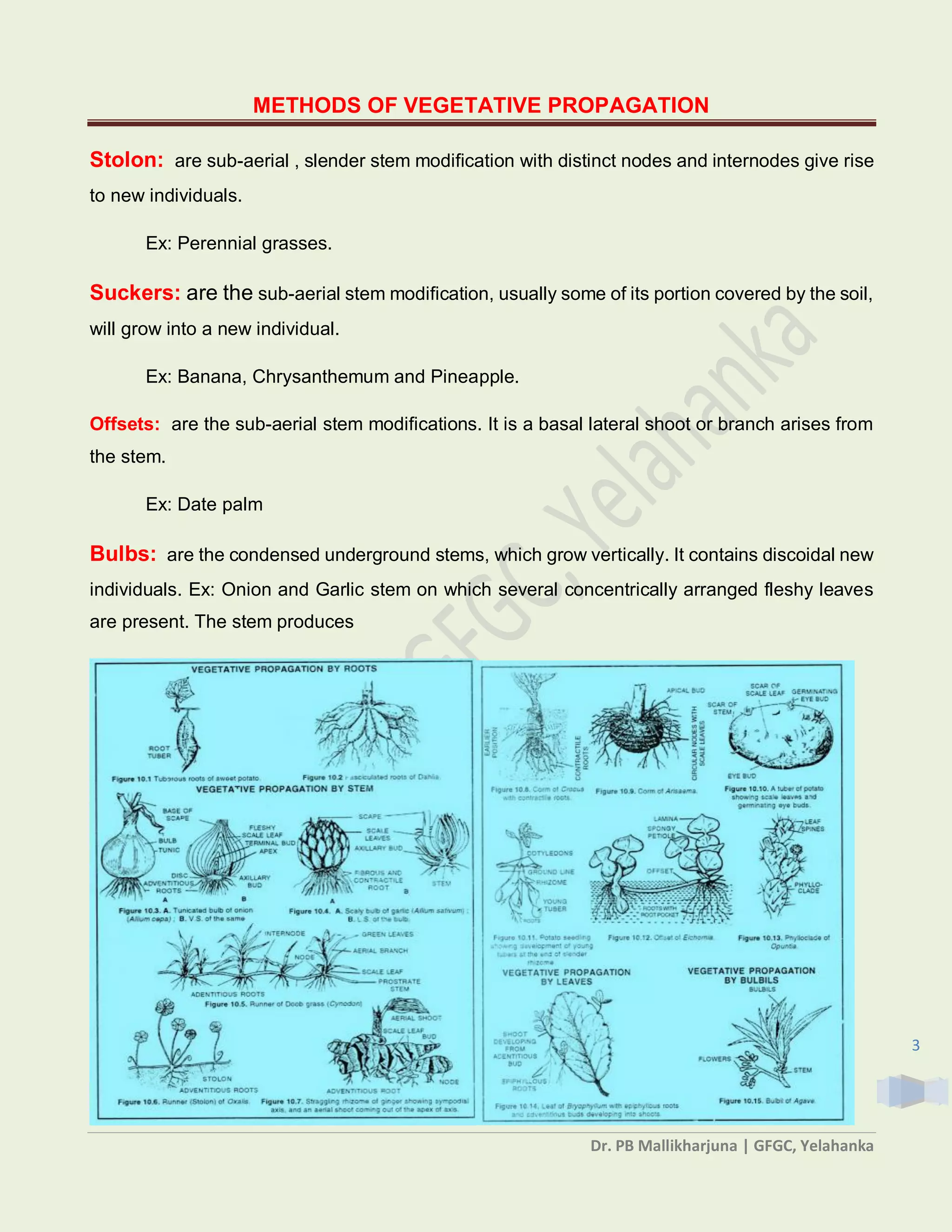 Methods of Vegetative Propagation | PDF Methods of Vegetative Propagation | PDF