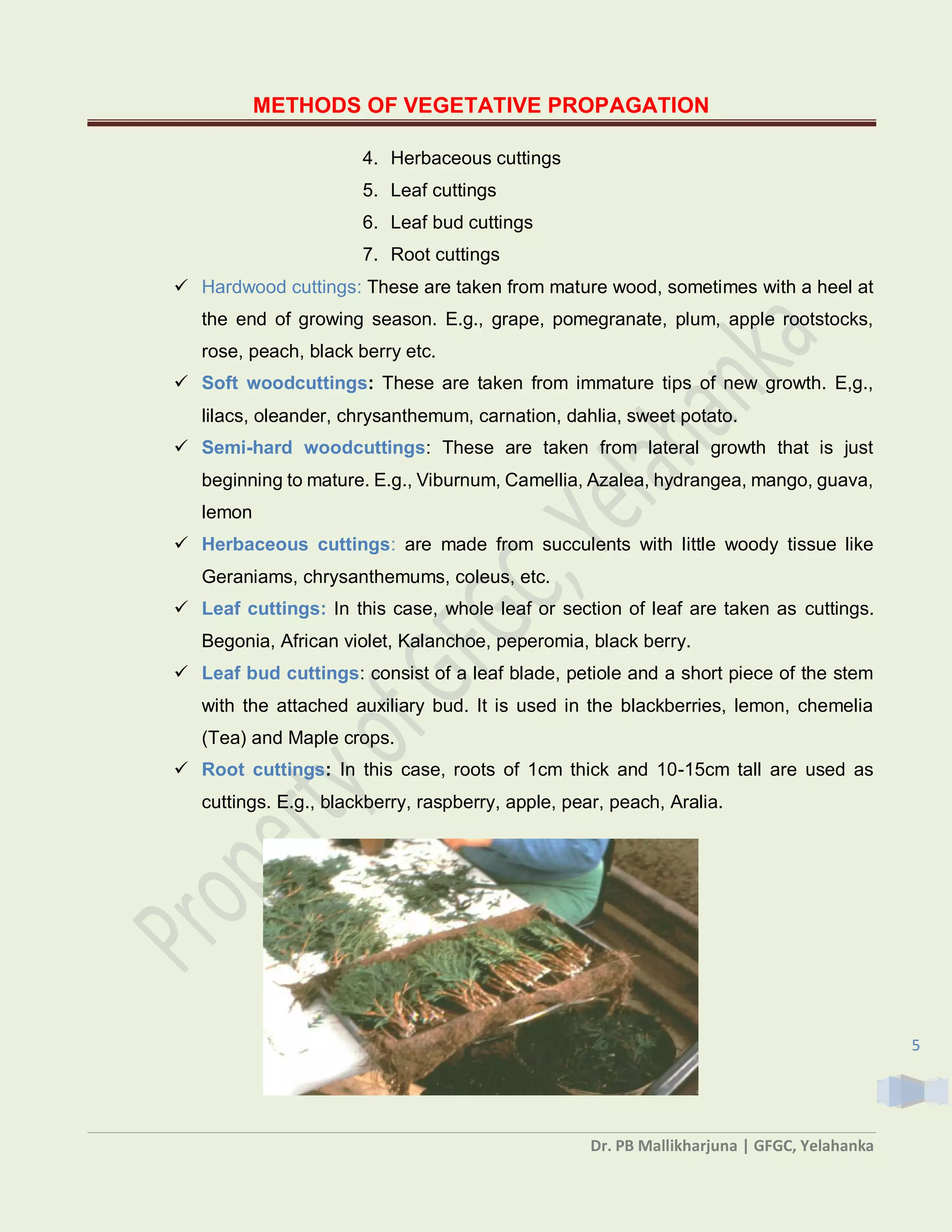 Methods of Vegetative Propagation | PDF