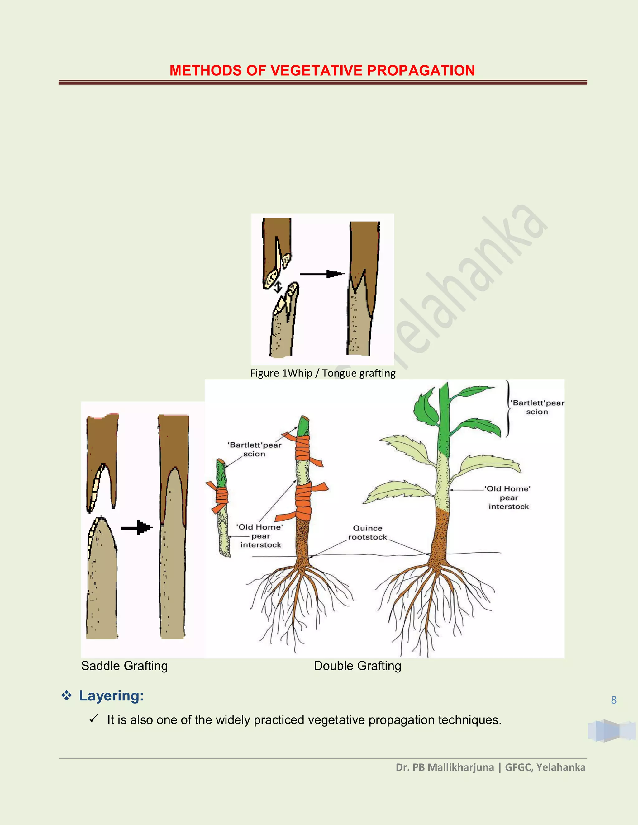Methods of Vegetative Propagation | PDF Methods of Vegetative Propagation | PDF