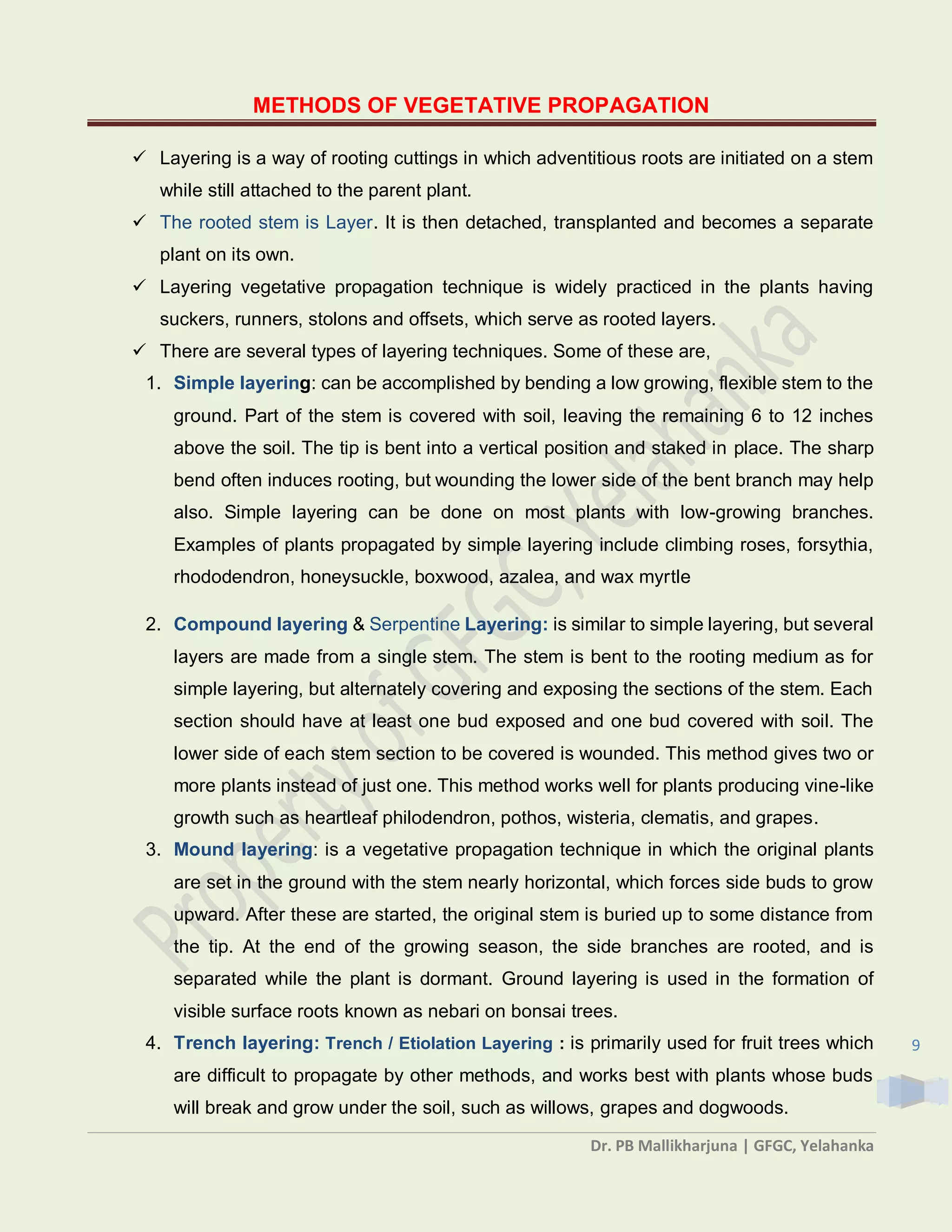 Methods of Vegetative Propagation | PDF
