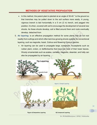 Methods of Vegetative Propagation | PDF