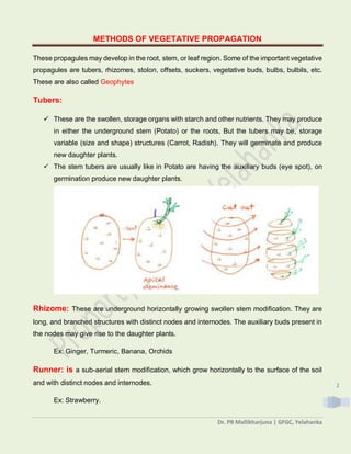 Methods of Vegetative Propagation | PDF