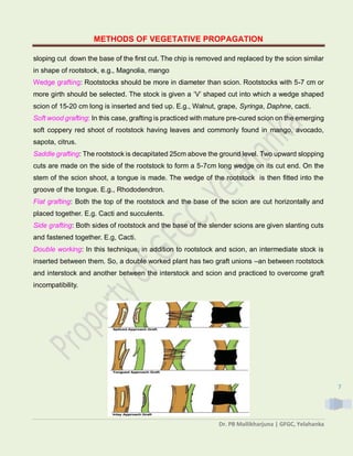 Methods of Vegetative Propagation | PDF