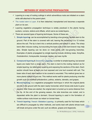 Methods of Vegetative Propagation | PDF