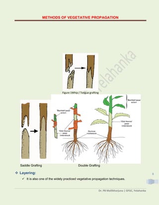 Vegetative Reproduction Diagram