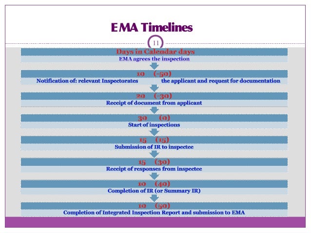 Ema inspection process
