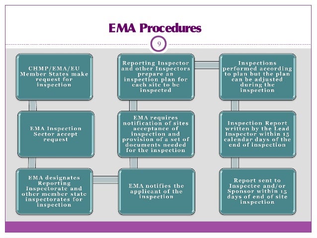 Ema inspection process