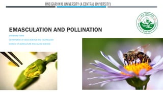 Emasculation and Pollination Mechanism.pptx