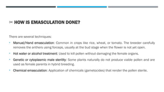 Emasculation and Pollination Mechanism.pptx