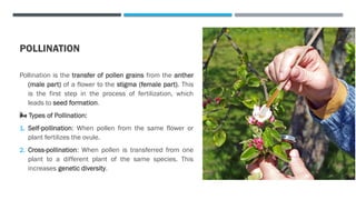 Emasculation and Pollination Mechanism.pptx