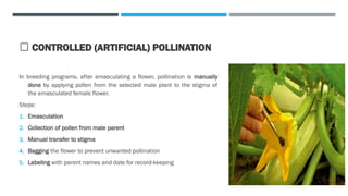 Emasculation and Pollination Mechanism.pptx