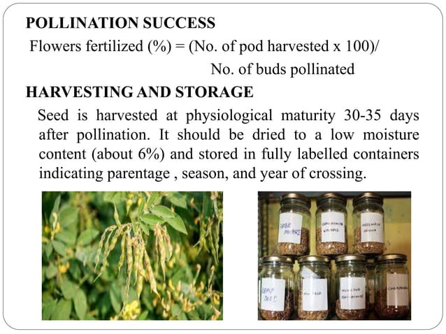 Emasculation and pollination in redgram | PPTX