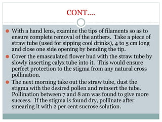 Emasculation and pollination techniques in oilseed fibres and plantation crops | PDF