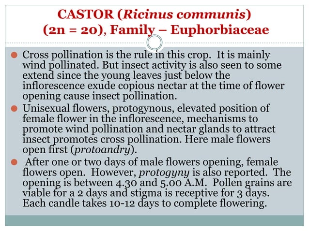 Emasculation and pollination techniques in oilseed fibres and plantation crops | PDF