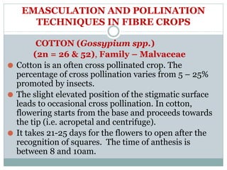 Emasculation and pollination techniques in oilseed fibres and plantation crops | PDF