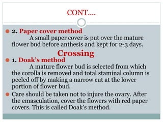Emasculation and pollination techniques in oilseed fibres and plantation crops | PDF