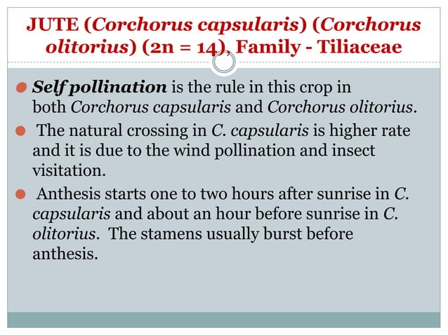 Emasculation and pollination techniques in oilseed fibres and plantation crops | PDF