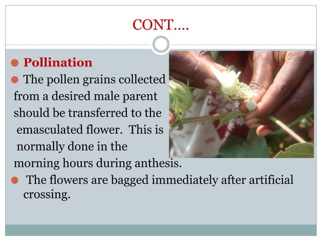 Emasculation and pollination techniques in oilseed fibres and ...
