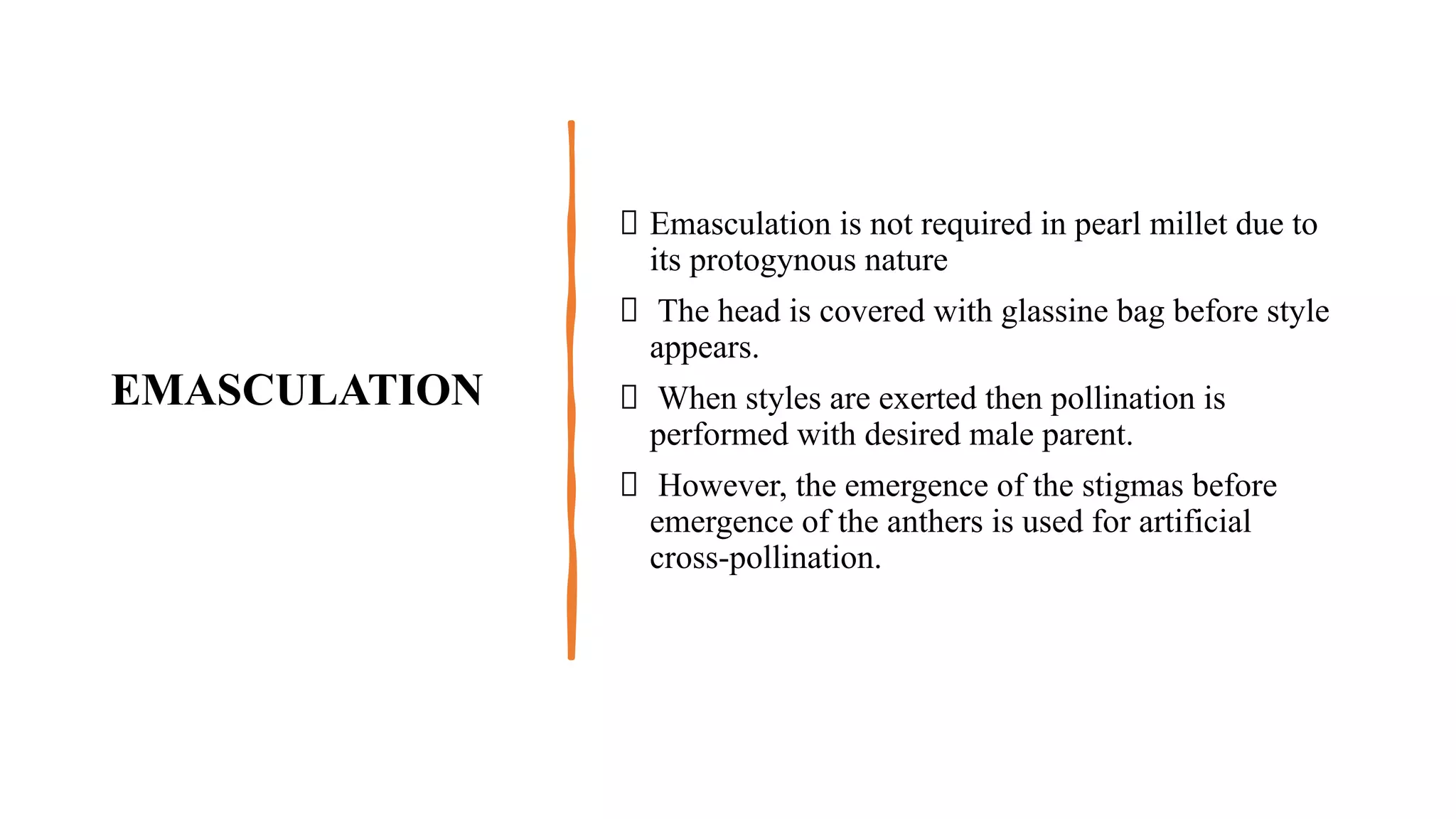 Emasculation and pollination techniques in pearl millet.pdf