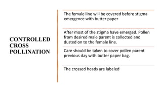 Emasculation and pollination techniques in pearl millet.pdf