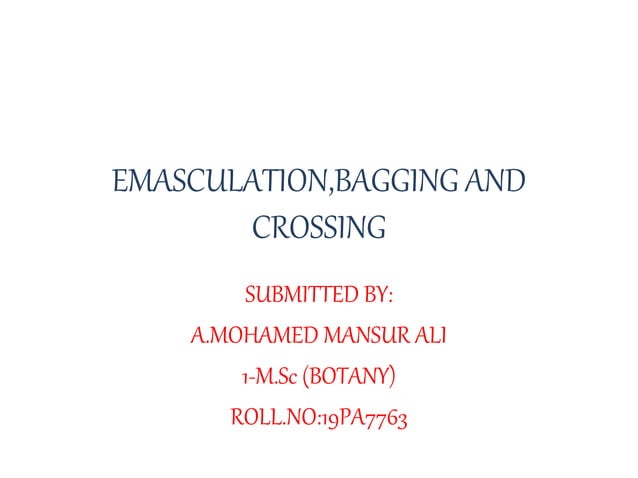 Emasculation ,bagging and crossing | PPTX | Flower Shopping | Shopping