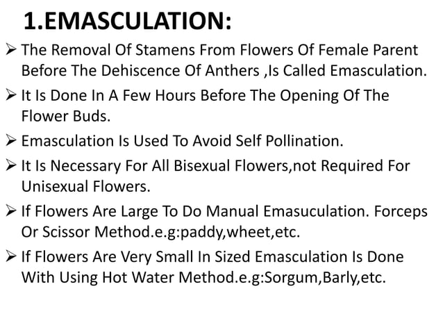 Emasculation ,bagging and crossing | PPTX | Flower Shopping | Shopping