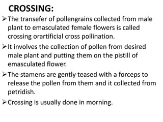Emasculation ,bagging and crossing | PPTX