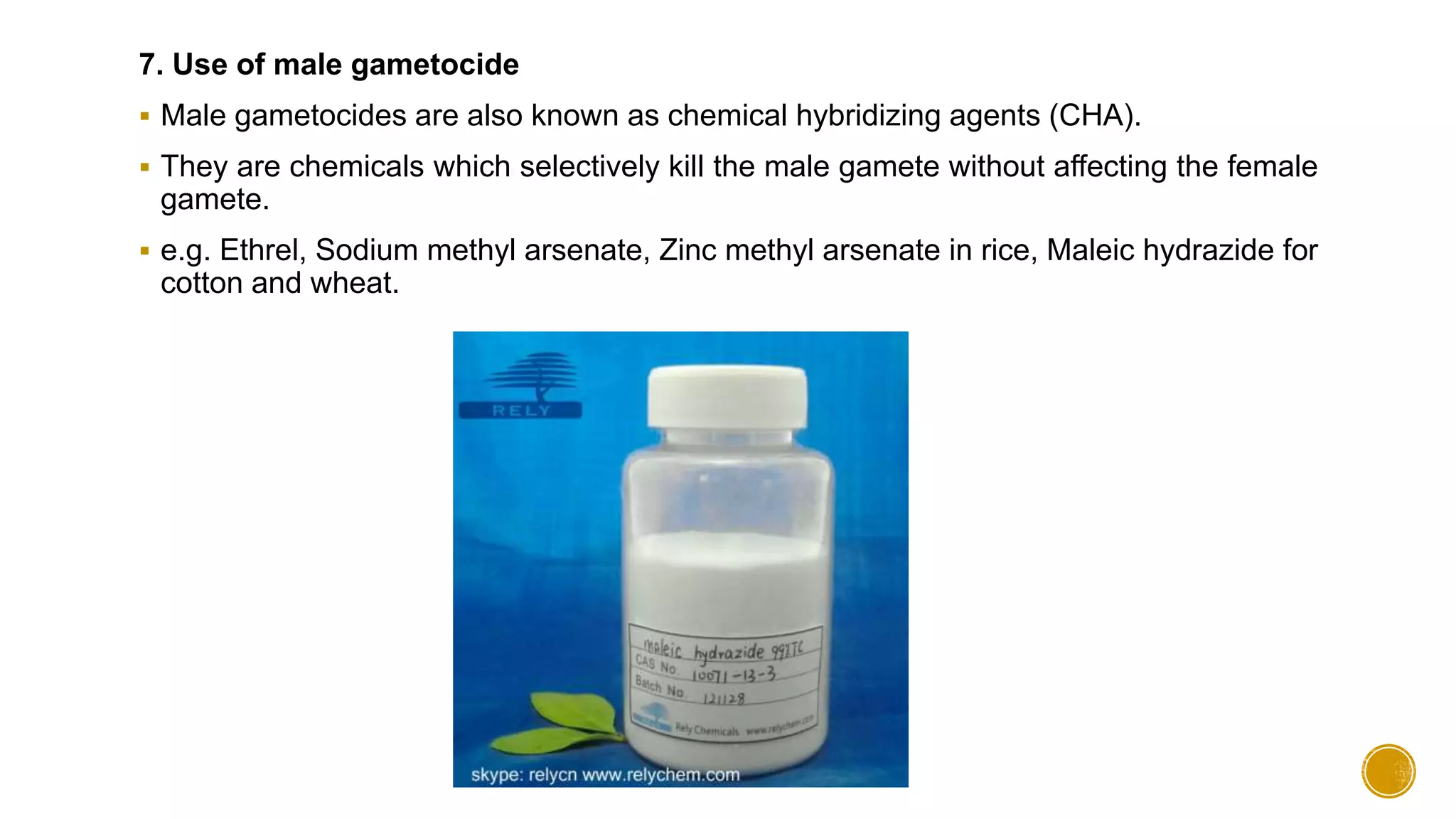 Emasculation, crossing techniques in cereals (Rice, Wheat, Maize) | PPTX