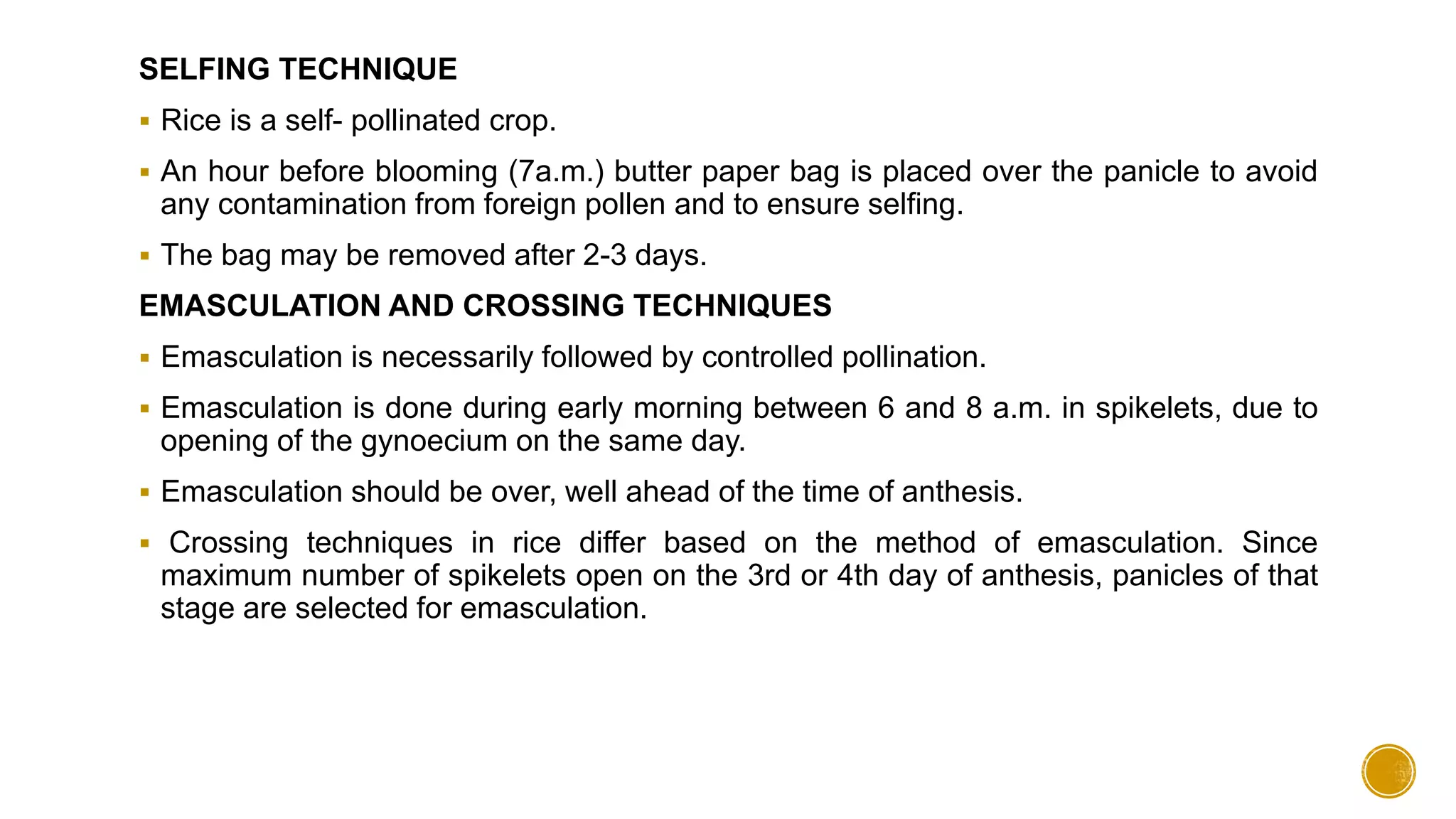 Emasculation, crossing techniques in cereals (Rice, Wheat, Maize) | PPTX
