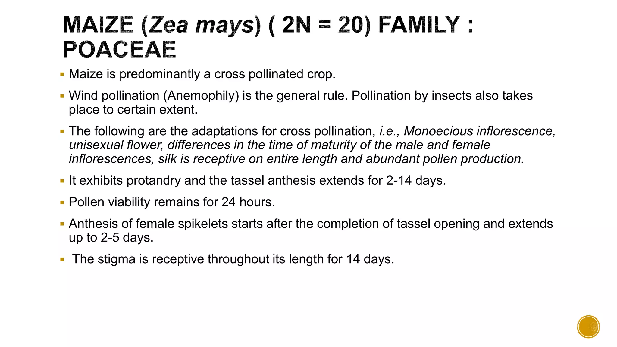 Emasculation, crossing techniques in cereals (Rice, Wheat, Maize) | PPTX