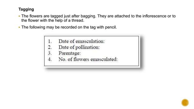Emasculation, crossing techniques in cereals (Rice, Wheat, Maize) | PPTX