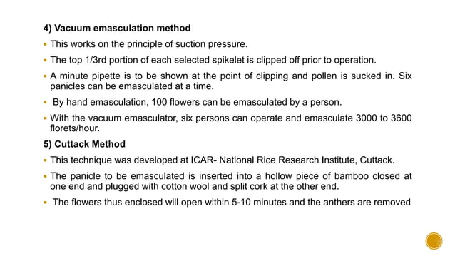Emasculation, crossing techniques in cereals (Rice, Wheat, Maize) | PPTX