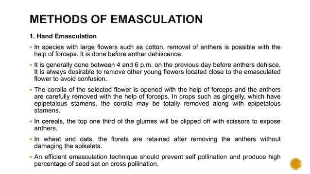 Emasculation, crossing techniques in cereals (Rice, Wheat, Maize) | PPTX