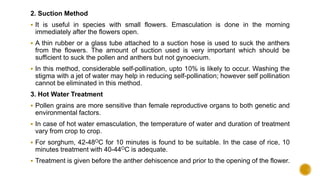 Emasculation, crossing techniques in cereals (Rice, Wheat, Maize) | PPTX