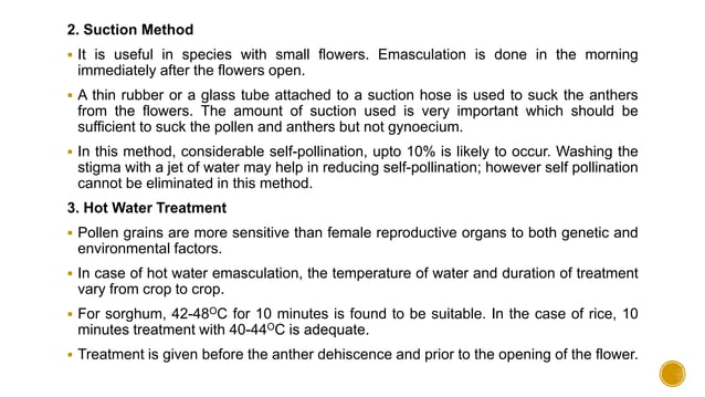 Emasculation, crossing techniques in cereals (Rice, Wheat, Maize) | PPTX