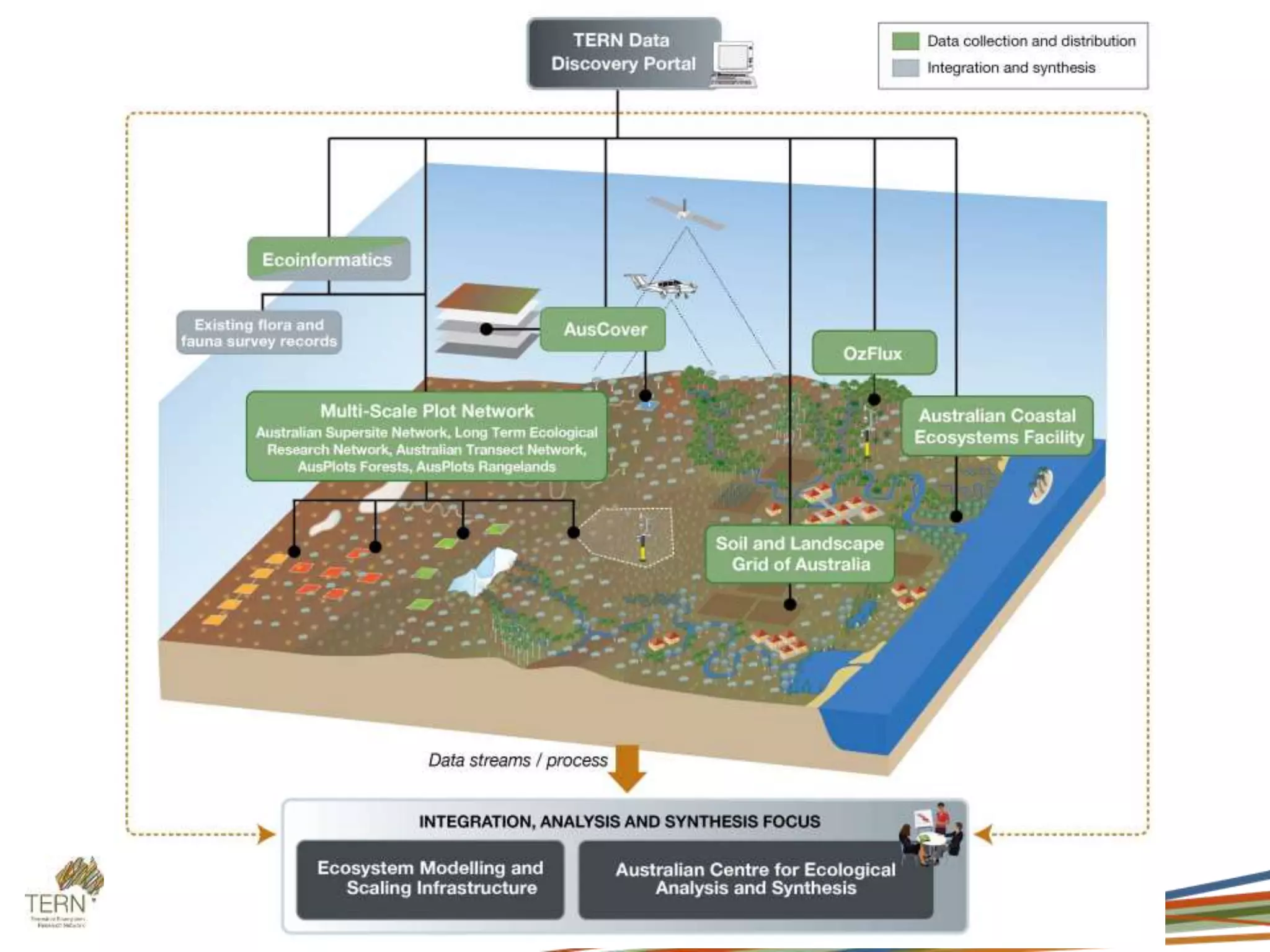 TERN eMAST : Observations and terrestrial ecosystem models ...