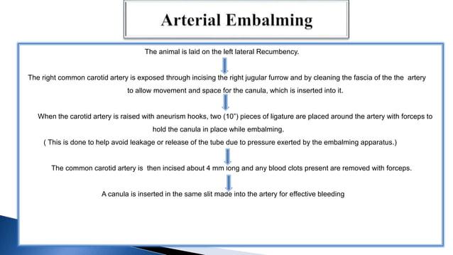 Embalming | PPTX | First Aid | Injuries