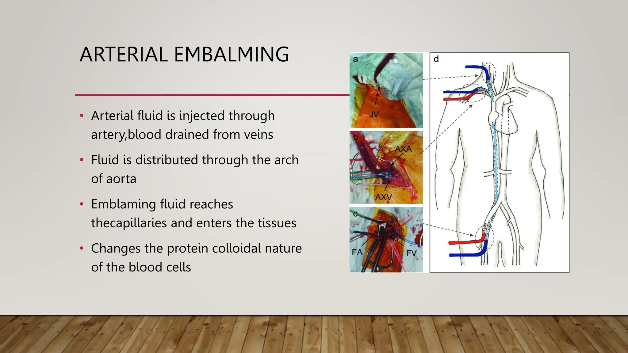 embalming introduction and types anatomy | PPTX | First Aid | Injuries
