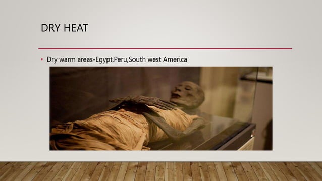 embalming introduction and types anatomy | PPTX | First Aid | Injuries