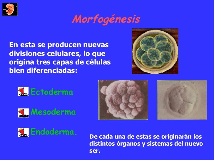 Biología